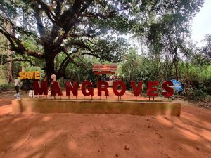 Mangrove Boardwalk • Honavar